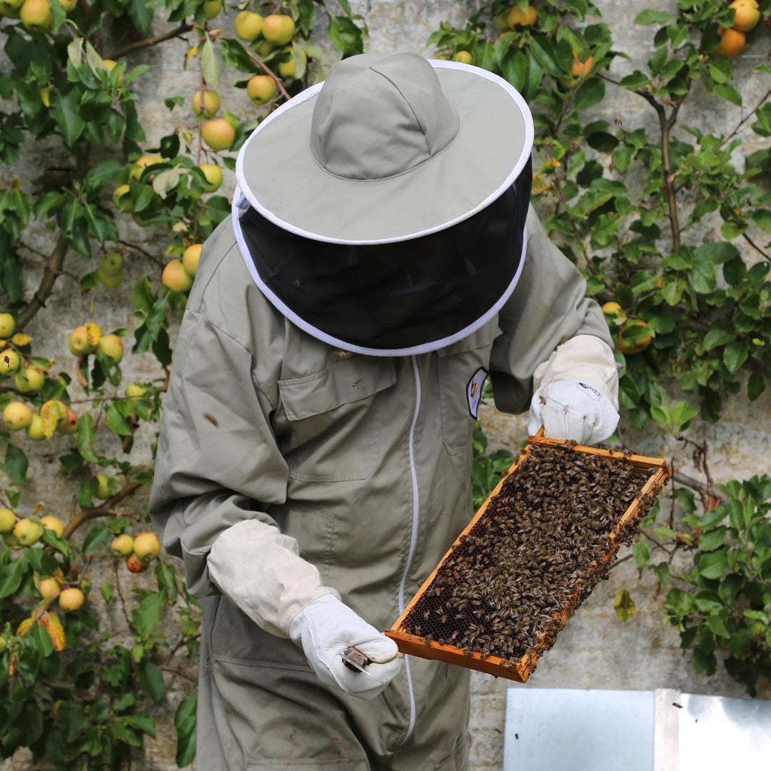 Beeble - British Bee Business - Bee-loved Honey Spirits – Beeble Co