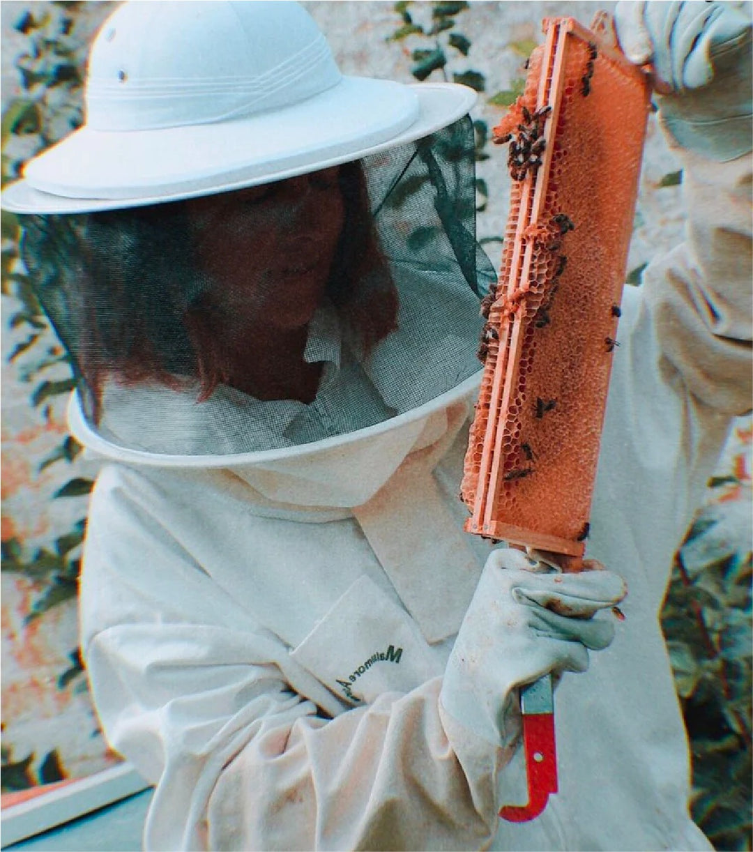 Beeble Sustainability – Beeble Co