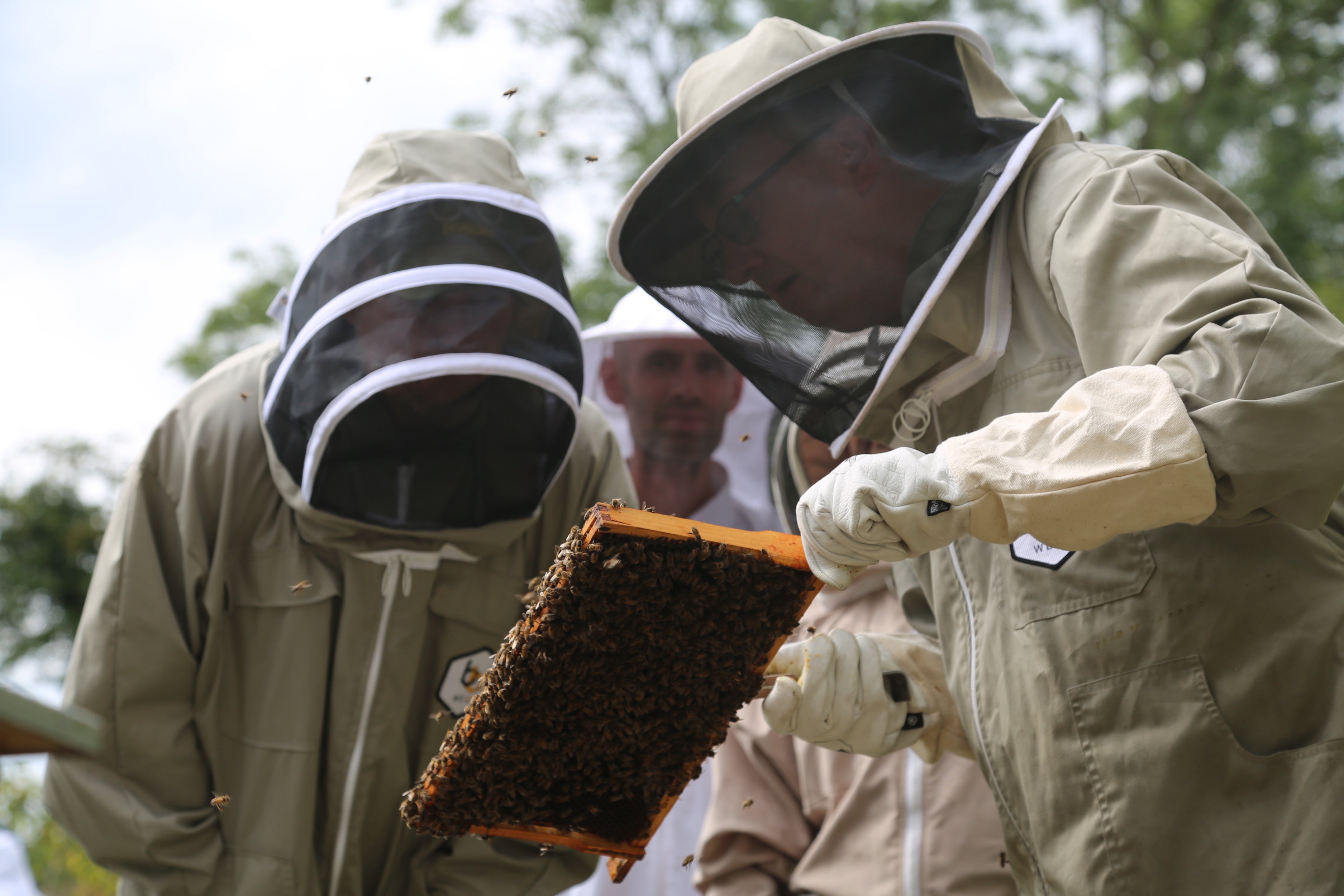 Beeble - Life is Sweet - Honey Whisky, Honey Rum, Honey Vodka – Beeble Co