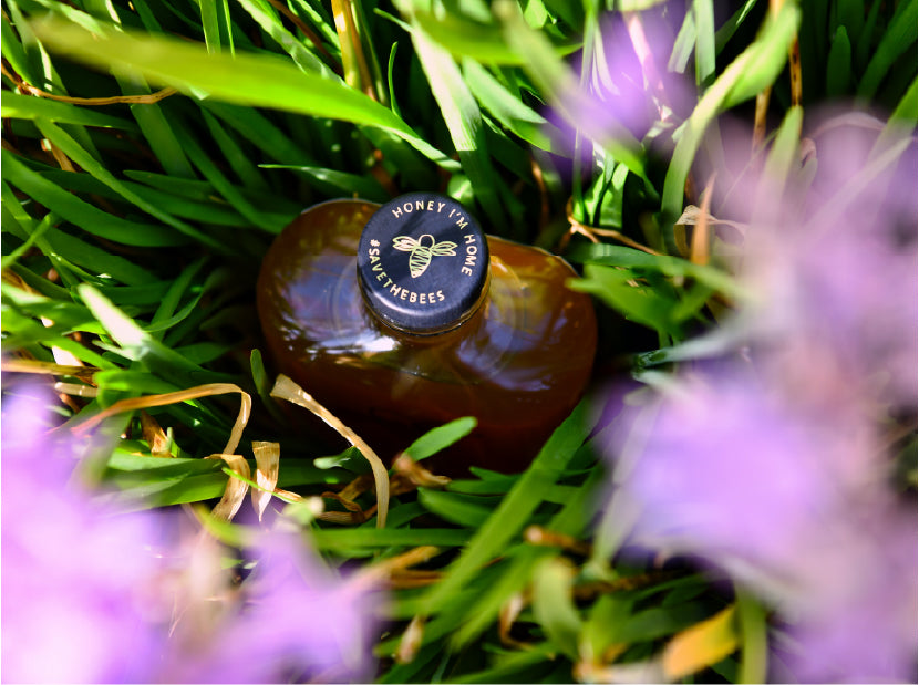 Beeble Values – Beeble Co